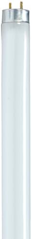Satco S8429 32 Watt T8 Fluorescent Light Bulb, 5000K Natural Light, 85 ...