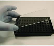 96 Square Well ProPlate/Adhesive SBS Microtiter Plate: Amazon.com ...