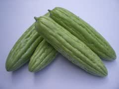 Amazon.com : Honeyman Farms 4031 Bitter Gourd Tai Guo Hybrid Seed ...