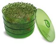 Biosta Sprouter with 3 levels -Green Tint : Amazon.ca: Sports & Outdoors