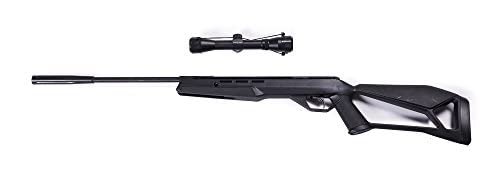 Is It Illegal to Shoot Pigeons with a Pellet Gun? (Revealed)