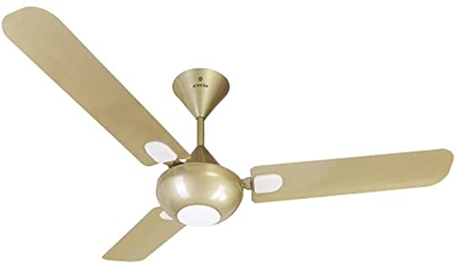 Buy SINGER Ceiling Fan 1200 MM Zircon LED SCF 120 ZLG Online at Low ...