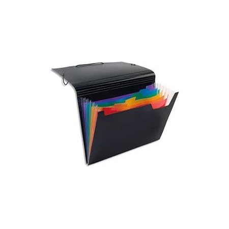 D.RECT, 5540, Pochette Trieur, Trieur Document, Scolaire, Alphabétique ...