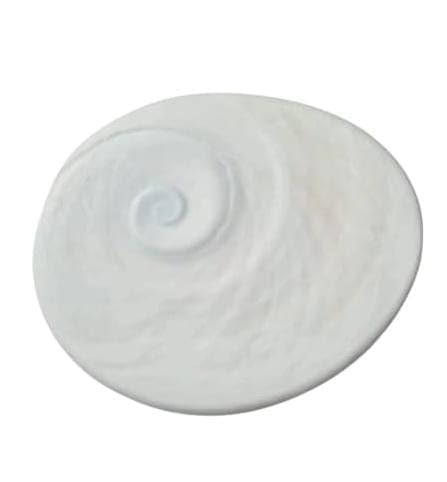 Buy Vighnaharta Ganesh Gomati Chakra Big Size Two Inches Original athi ...