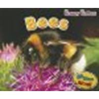 Bees by Rissman, Rebecca [Heinemann-Raintree, 2012] Library Binding ...