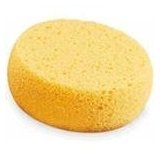 Snapklik.com : Round Hydro Sponge