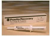 Provita Dog Puppy Probiotic Paste 15ml : Amazon.co.uk: Pet Supplies