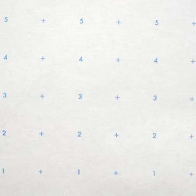 Amazon Dotted Pattern Paper