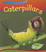 Caterpillars (Creepy Creatures): Chappelow, Sarah: 9781410917720 ...