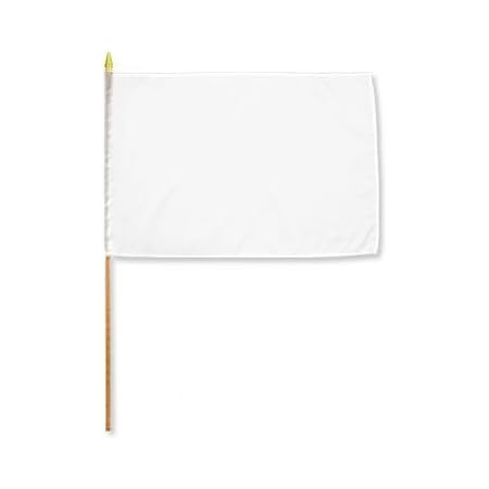 Amazon.com : Quality Standard Flags STIBwhite One Dozen White Stick ...