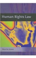 Human Rights Law: Amos, Merris: 9781841132327: Amazon.com: Books