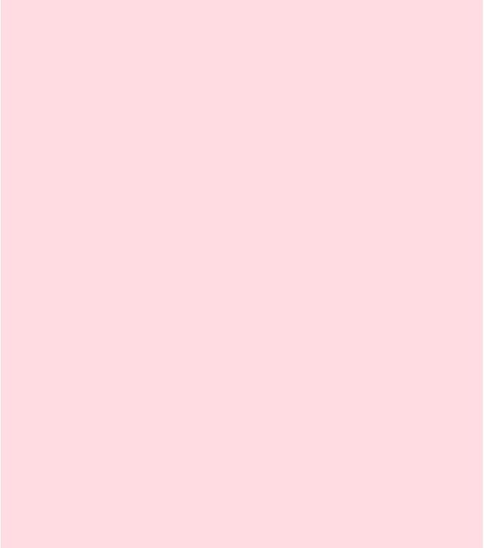 ARK A4 240gsm Colored Card Stock Pack of 10 Sheets (Light Pink ...