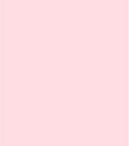ARK A4 240gsm Colored Card Stock Pack of 10 Sheets (Light Pink ...