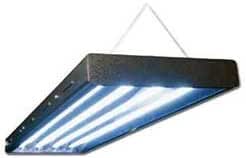 Amazon.com: Bonsai Tree Grow Light Fixture - 6 Bulb from BonsaiOutlet ...
