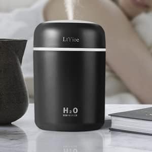 Amazon.com: Portable Mini Humidifiers for Bedroom LtYioe Cool Mist ...