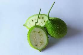 kakoda kantola seeds hybrid Pack Of 9 : Amazon.in: Garden & Outdoors