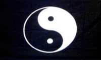 Fenney's Flags Flagge Yin Yang 90 x 152 cm, für Innen- und Außenbereich ...