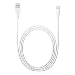 SSB USB Fast Charging Cable Compatible with All iPhone Devices : Amazon ...