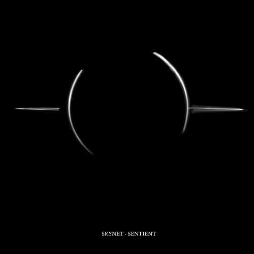 Play 1 Hour DJ Mix Of Sentient Album - Mixed By Skynet by Skynet on ...