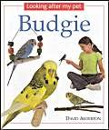 Looking After My Pet Budgie : Alderton, David: Amazon.co.uk: Books