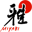 Miyabi 5000MCD 67 Giyutoh 20 cm Steel : Amazon.de: Home & Kitchen