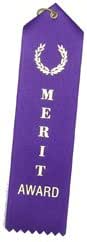 Amazon.com: Merit Award (Purple) Award Ribbons w/Card & String
