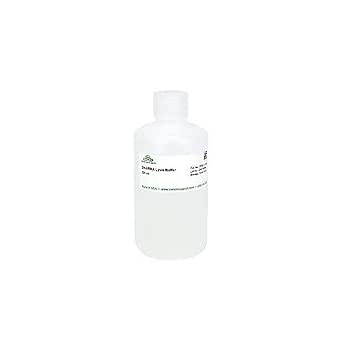 Amazon.com: DNA/RNA Lysis Buffer (200mL) : Industrial & Scientific