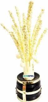 Buy AIO Kerala Traditional Handcrafted Artificial para with Pookula ...