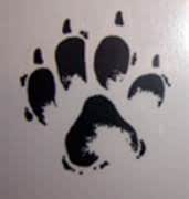 Amazon.com: Hardley Dangerous Illusions Cat Print Stickers: Posters ...