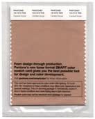 PANTONE Smart 18-1248X cartão de amostra de cor, ferrugem | Amazon.com.br