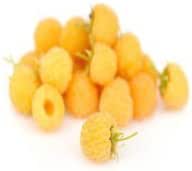 Amazon.com : Anne Golden Raspberry Plants-Bare Root Canes–Sweet ...