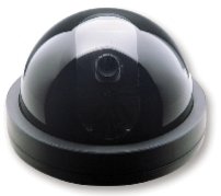 Buy ABL Corp ABL Corp DOM-DUM Dummy Dome Camera Online at Low Prices in ...