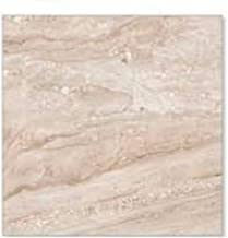 Creative Tile Studio Generic Floor OR Wall Tiles (Size : 24 X 24,Type ...