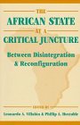 By Leonardo A. Villalon - The African State at a Critical Juncture ...
