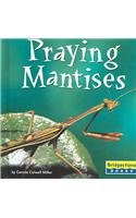 Praying Mantises (WORLD OF INSECTS): Miller, Connie Colwell ...