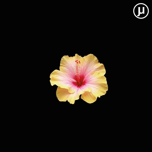 Amazon.co.jp: Therapy II : JUJU: デジタルミュージック
