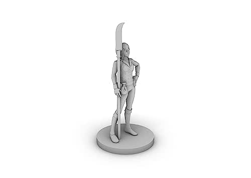 Amazon.com: Human Female Hexblade Warlock Tabletop DND Gaming Miniature ...