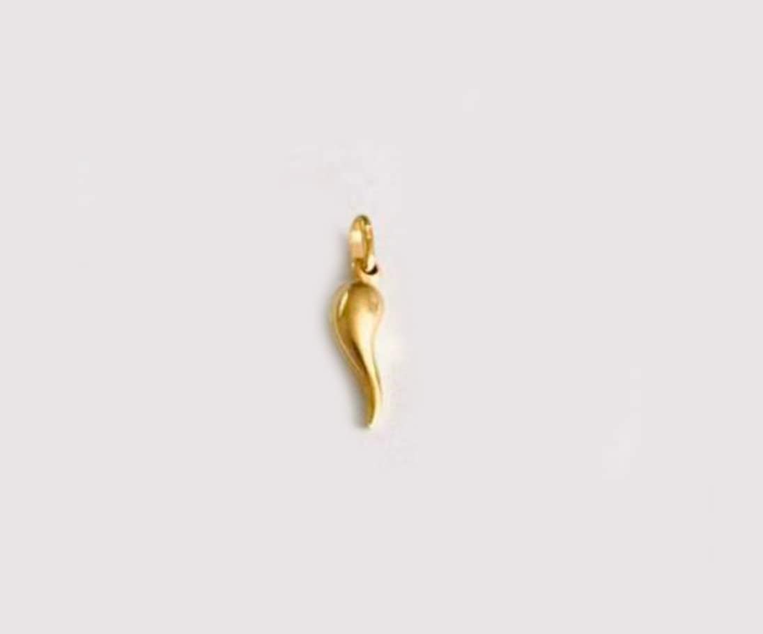 Amazon.com - 10K Gold Italian Cornicello, Chili Pepper, 20mm/0.78" Gold ...