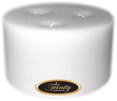 Trinity Candle Factory -Peppermint - Pillar Candle - 6x3 : Amazon.in ...