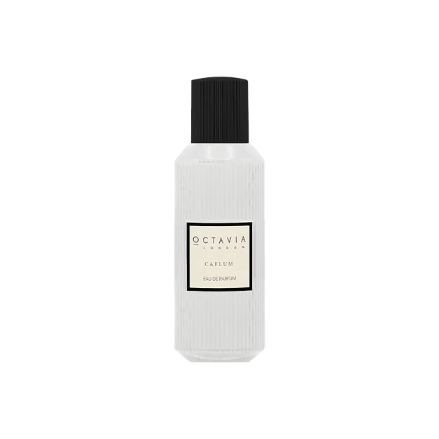 Amazon.com : OCTAVIA CAELUM EDP 50 ML : Beauty & Personal Care