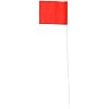 Amazon.com : Stake Flags for Marking Sprinkler Heads and Other Objects ...