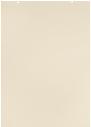 Amazon.com : Pacon 5163 Manila Tag Chart Paper, Ruled, 24 x 36, 100 ...