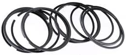 Amazon.com: CARTEX Piston Ring Set 4309254 for FITS Cummins Engine ...