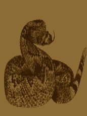 THE RATTLESNAKE MASTER by CRANFORD, BEAUFORT