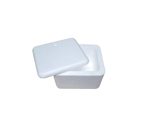 Thermocol Ice Box/Thermocol Chiller Ice Bx/Styrofoam Bx Small : Amazon ...