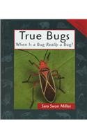 True Bugs: When Is a Bug Really a Bug? (Animals in Order): Miller, Sara ...