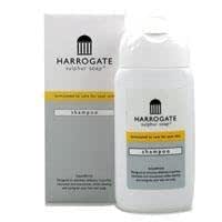 Amazon.com : Harrogate Sulphur Soap Shampoo 150ml by Harrogate Sulphur ...
