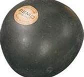 Amazon.com: Remo Plum-shaped Fruit Shaker : Musical Instruments