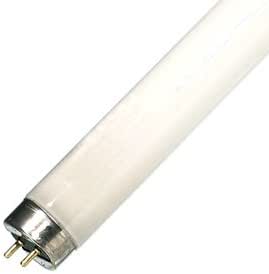Philips Lighting PLS Fluorescent Lamp TL-D 58W/865 : Amazon.co.uk: Lighting