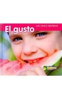 Los cinco sentidos / The Five Senses : Rissman, Rebecca: Amazon.in: Books